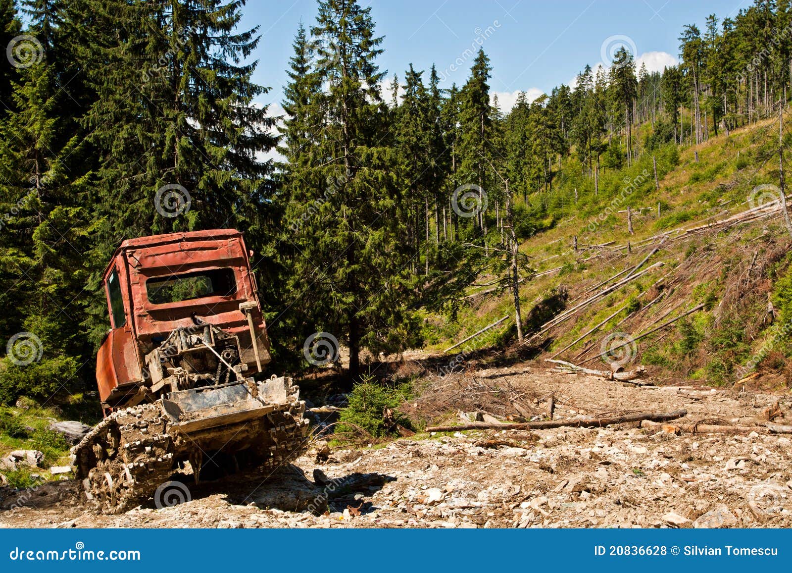 Old Wrecked Bulldozer in the Forest Stock Photo - Image of green, pine ...