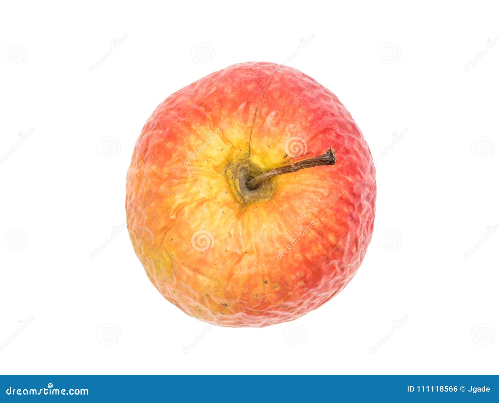 Old wrinkled Apple stock photo. Image of damaged, elderly - 111118566