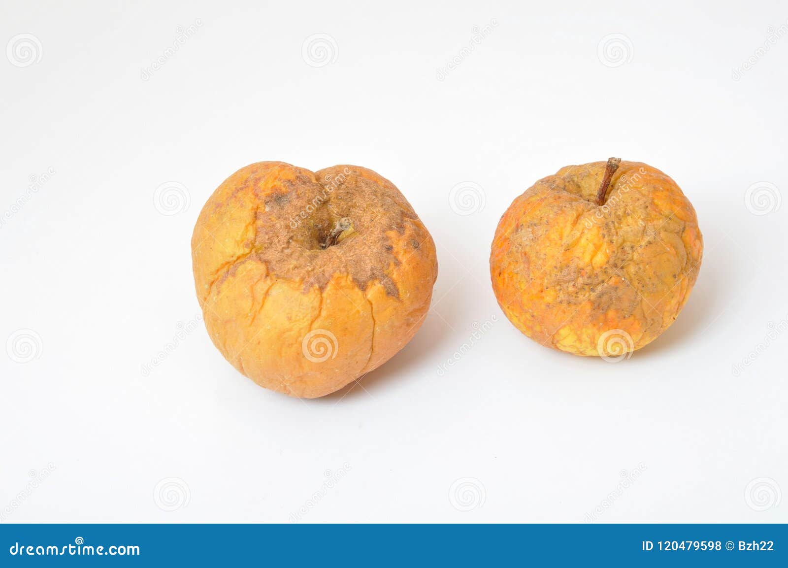 Old wrinkled apple stock photo. Image of fruit, closeup - 120479598