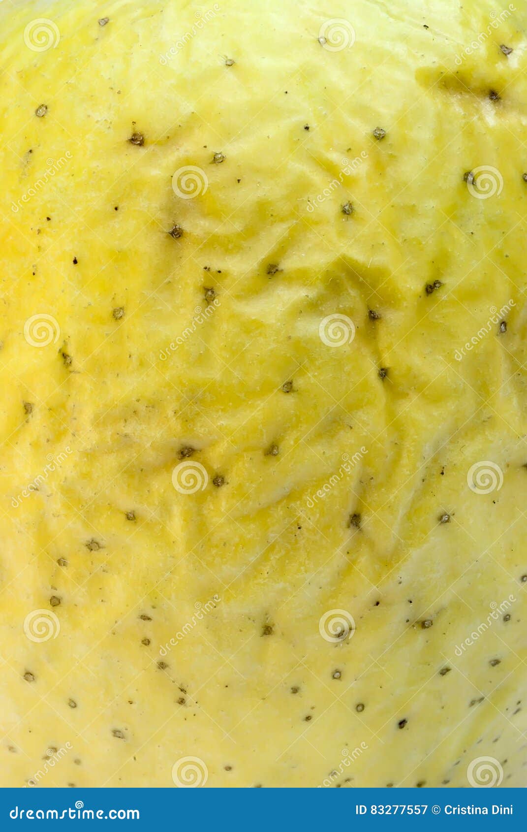 Old and Wrinkled Skin of Apple Stock Image - Image of healty, wrinkled ...