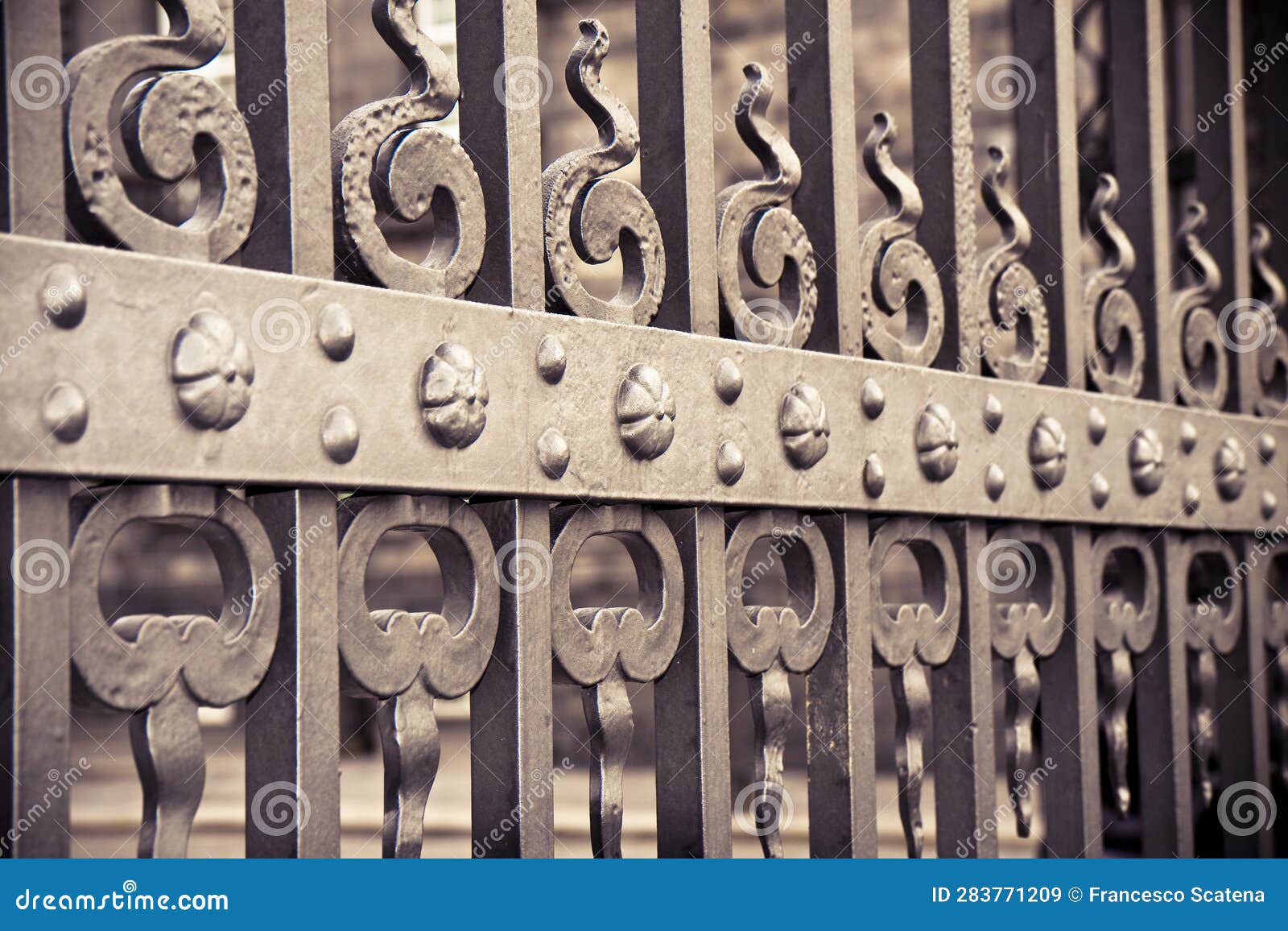 Grating With Floral Patterns Stock Image | CartoonDealer.com #48091693