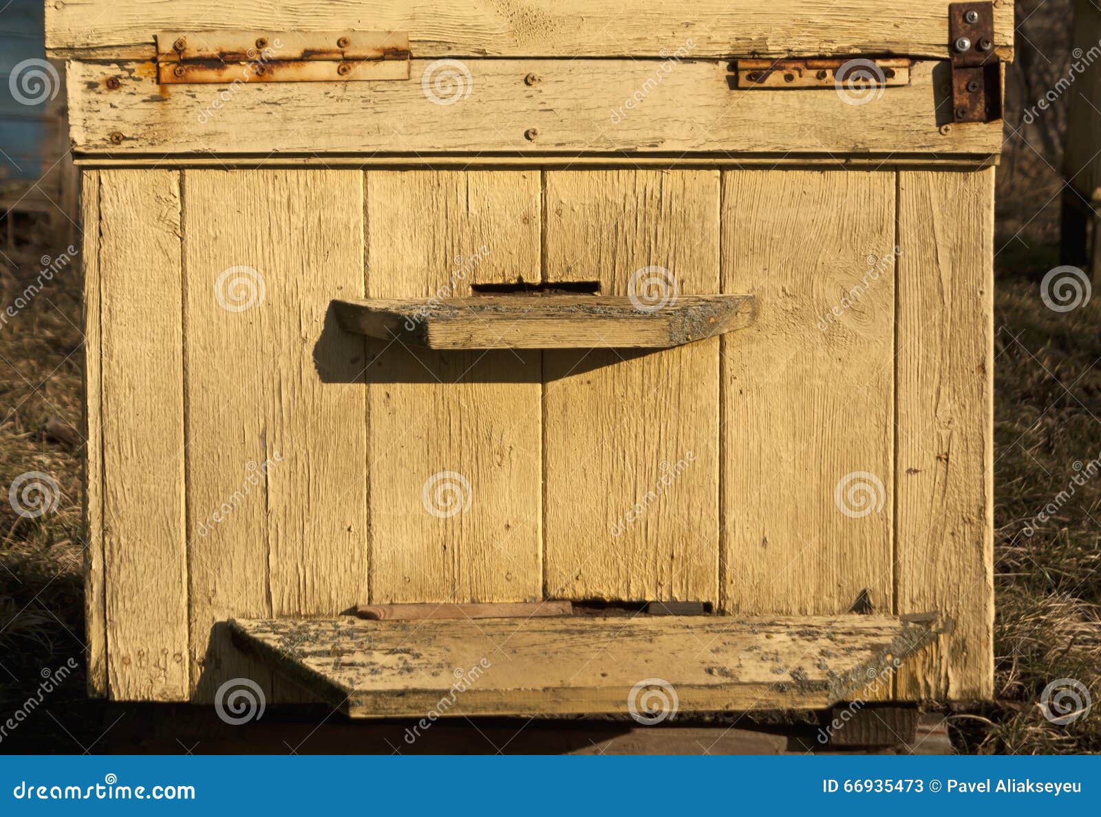 Old Yellow Bee Hive in Spring. Stock Image - Image of beehive, insect ...