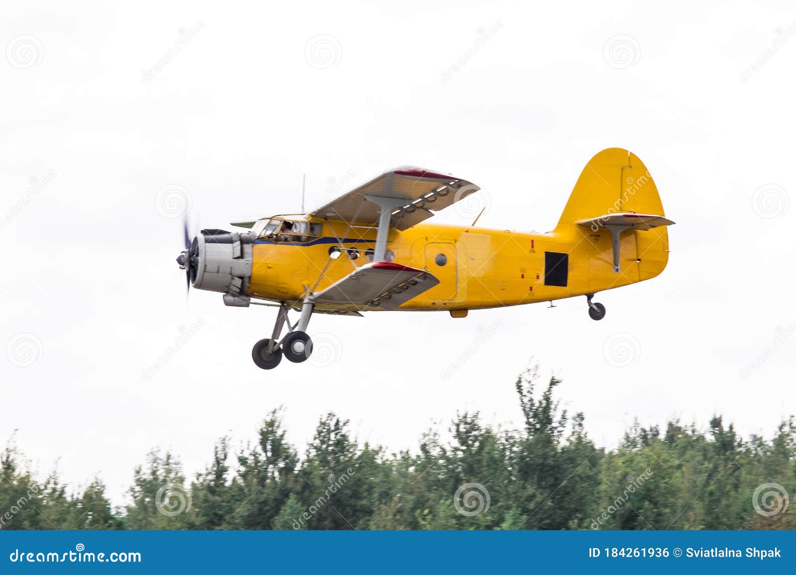 Old Yellow Biplane Take Off Over Forest Stock Photo - Image of ...