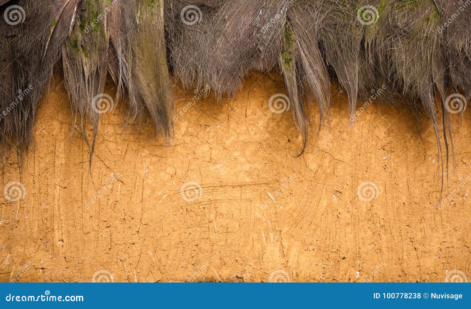 Old Concrete or Mud Plaster Background Texture with Straw Fiber Stock ...