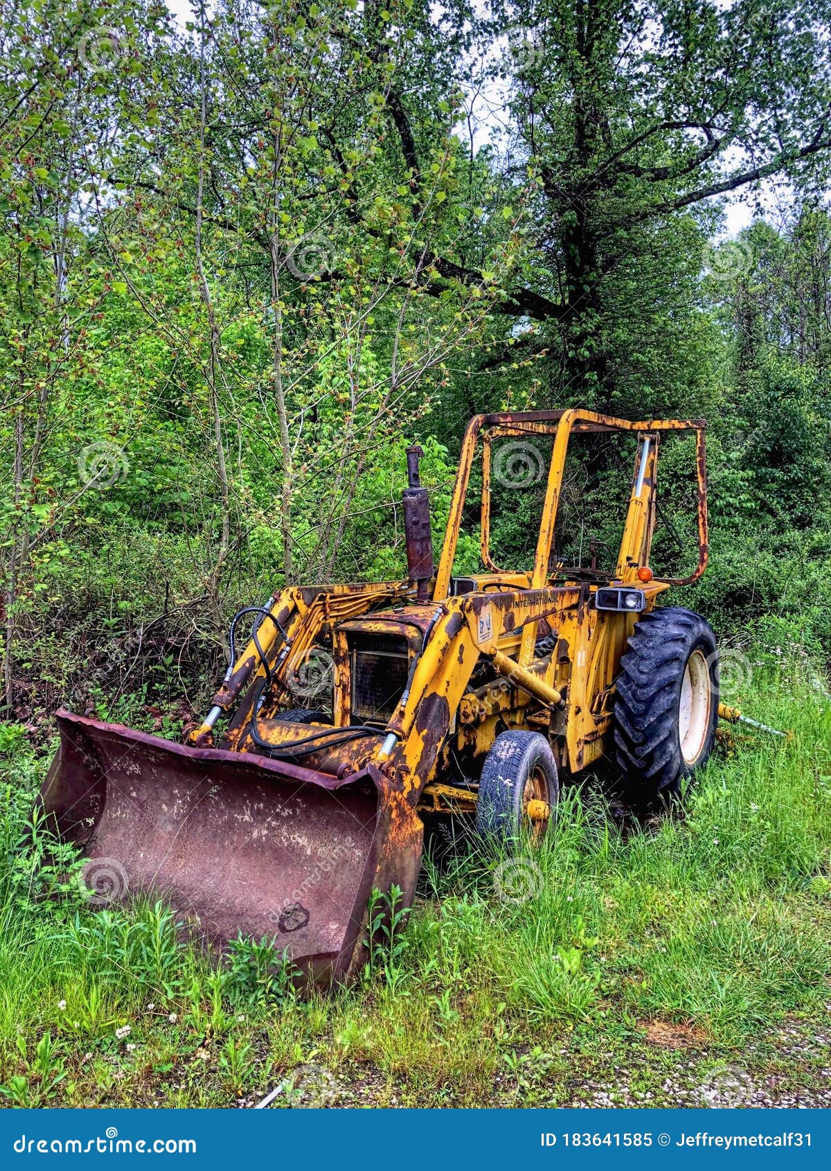 Old Yellow Dozer stock image. Image of forest, construction - 183641585