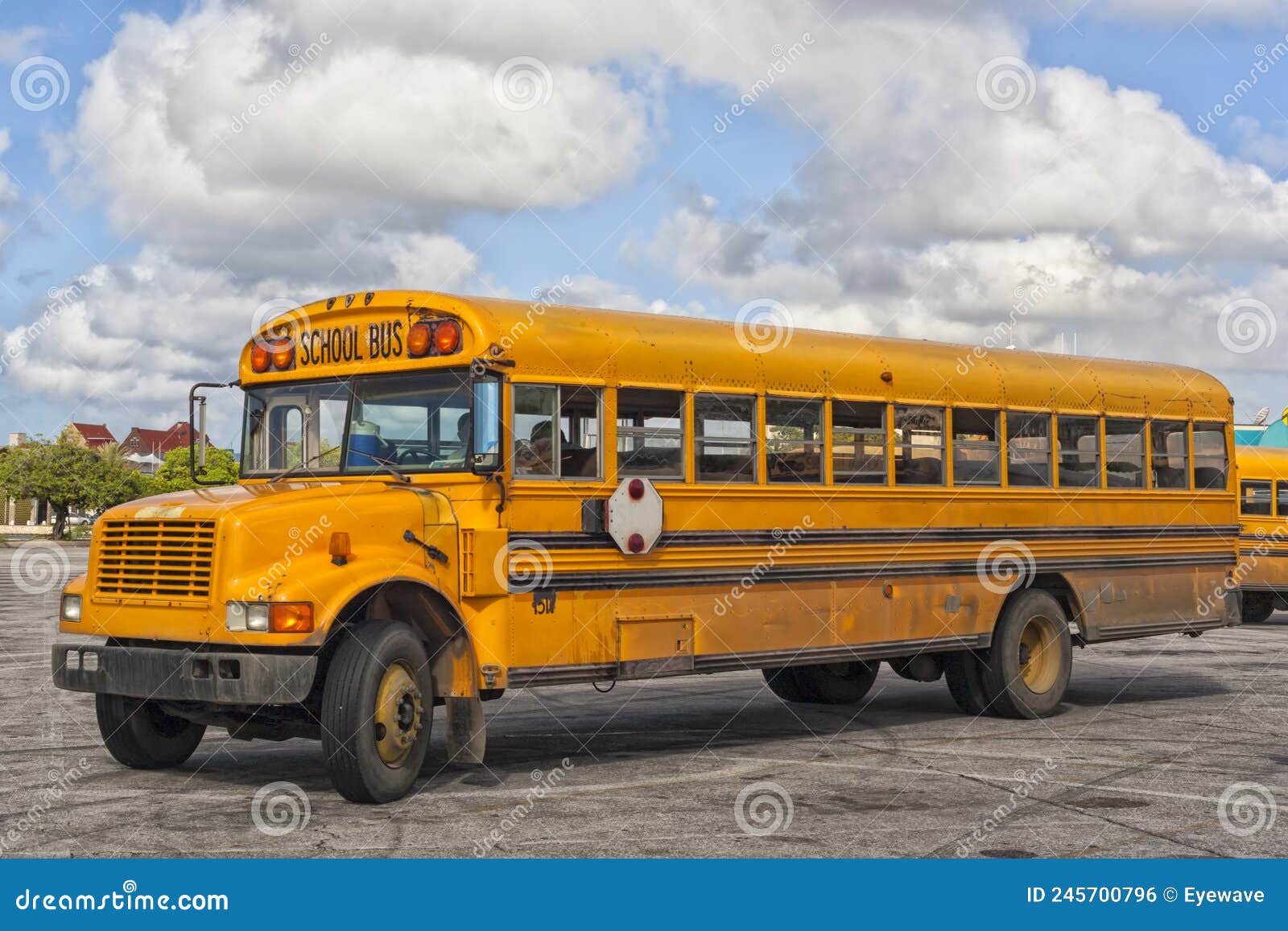 Old yellow school bus stock photo. Image of coach, transport - 245700796