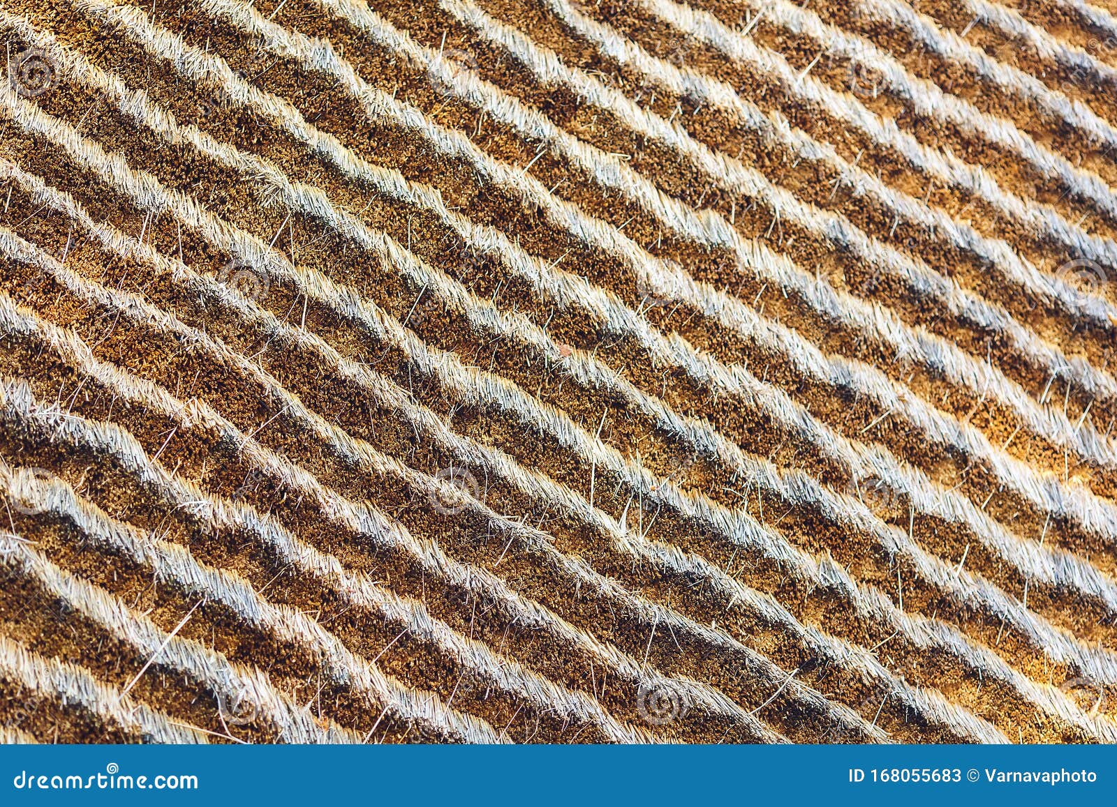 Old Yellow Thatched Roof Close-up. Stock Image - Image of texture, roof ...