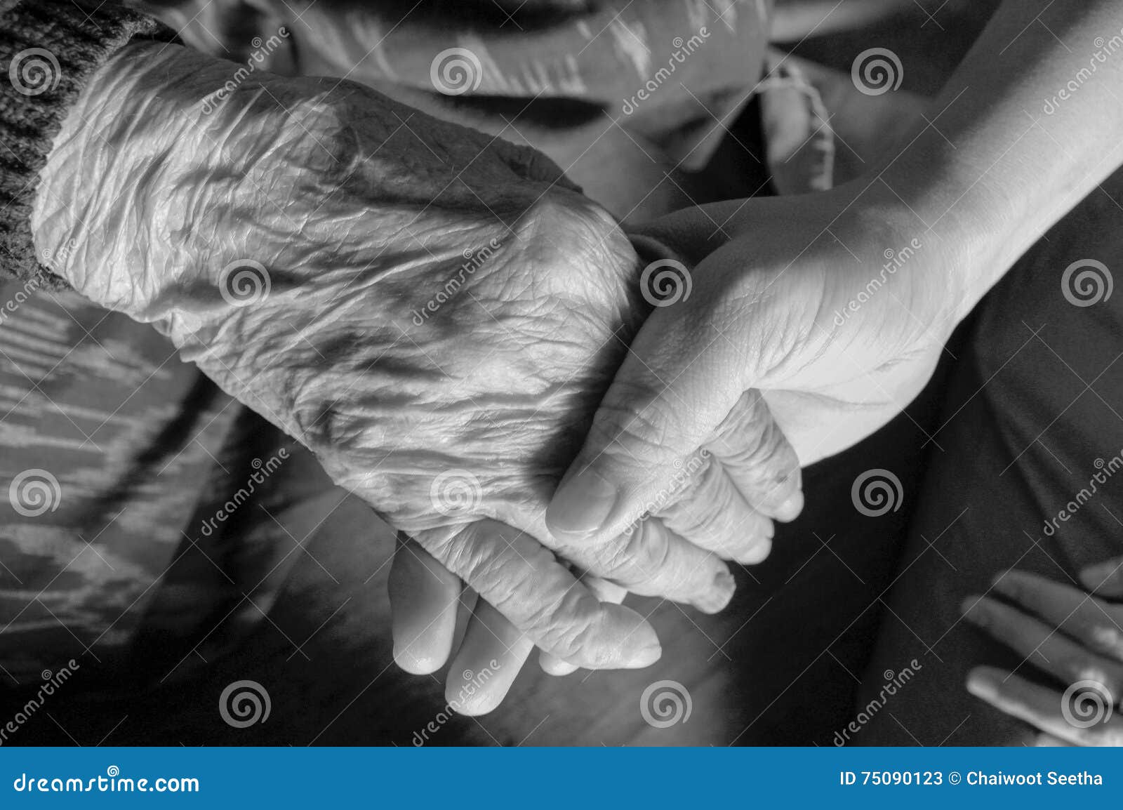 Old and Young Hands Check Hand Black and White Stock Image - Image of ...