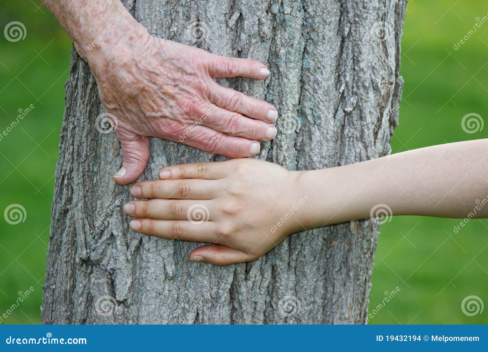 Old and Young Hands on Tree Trunk Stock Photo - Image of love, care ...
