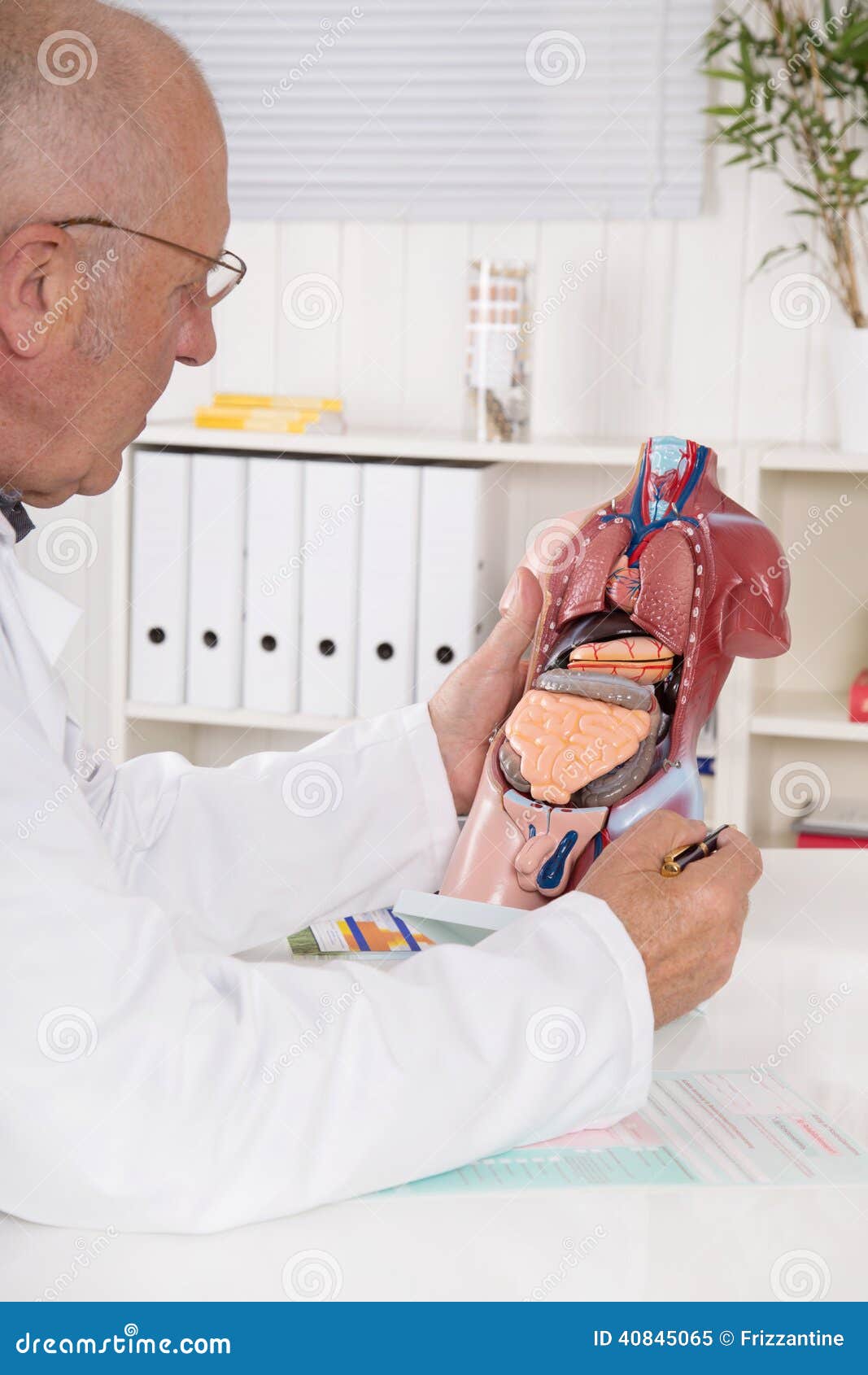 Older Doctor with Experience Explain the Human Body. Stock Image ...