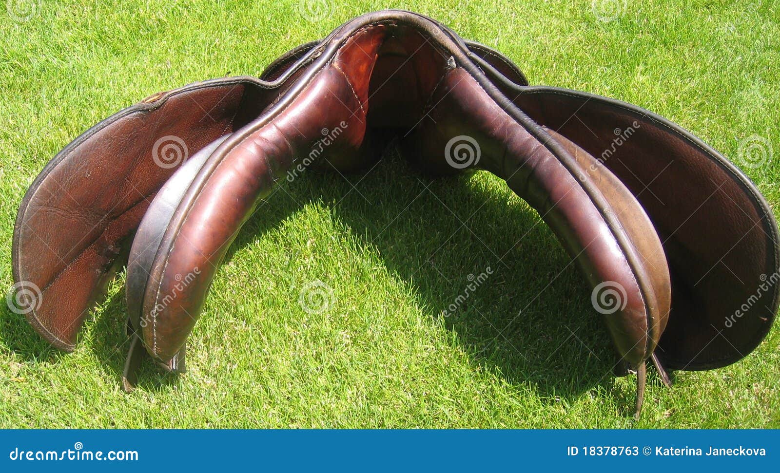 Older English Saddle - Gullet of the Saddle Stock Image - Image of ...