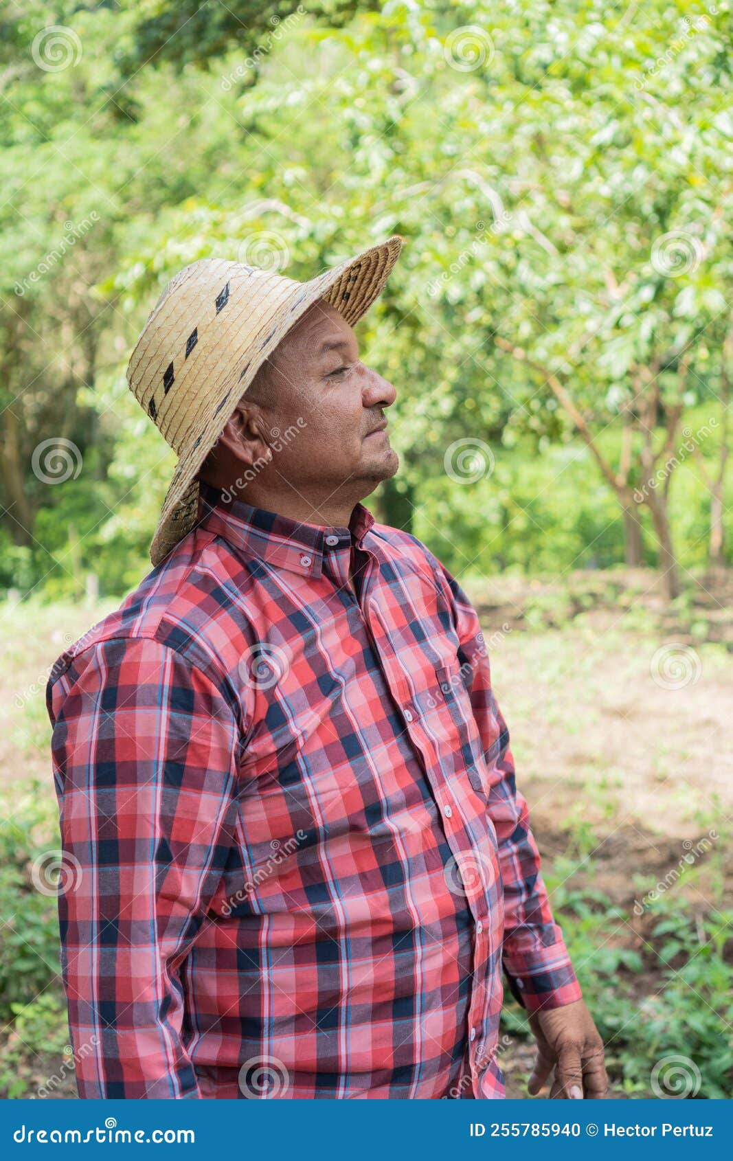 Older Farmer Looking To the Side in the Field Stock Photo - Image of ...