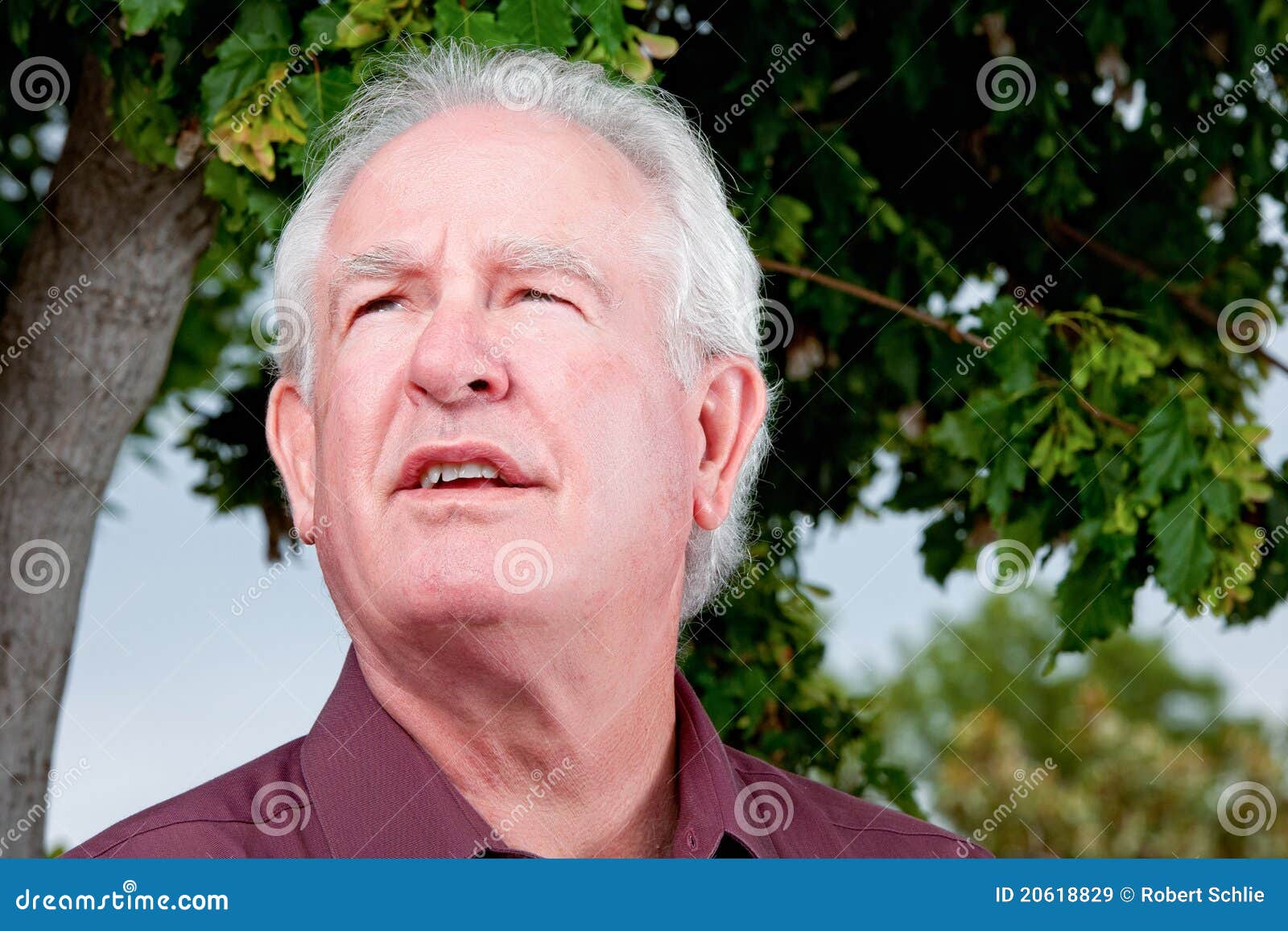 Older Man Looking Skyward with Concern Stock Image - Image of squint ...