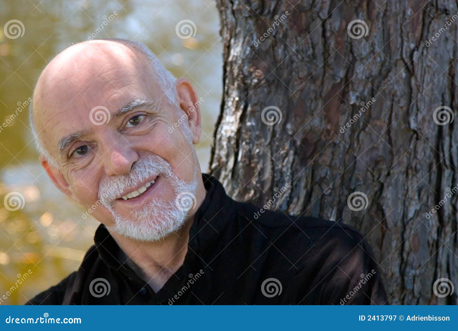 Older man smiling stock image. Image of leisure, educated - 2413797