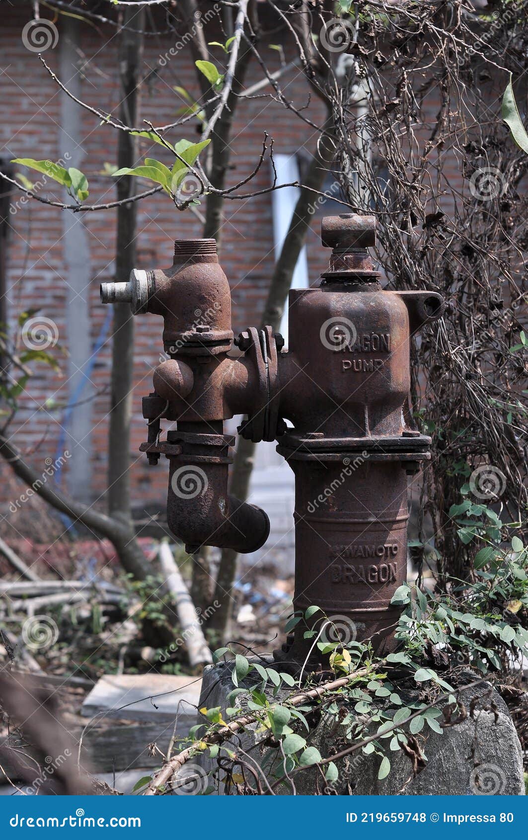 Old Manual Water Pump (Lever Pump). Vintage Cast Iron Water Pump Stock ...