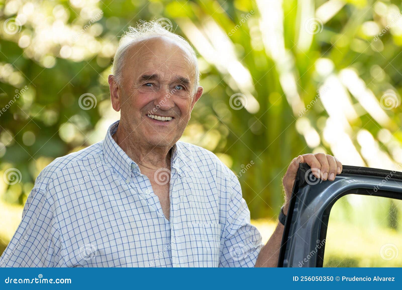 Senior man in the car stock photo. Image of person, longevity - 256050350