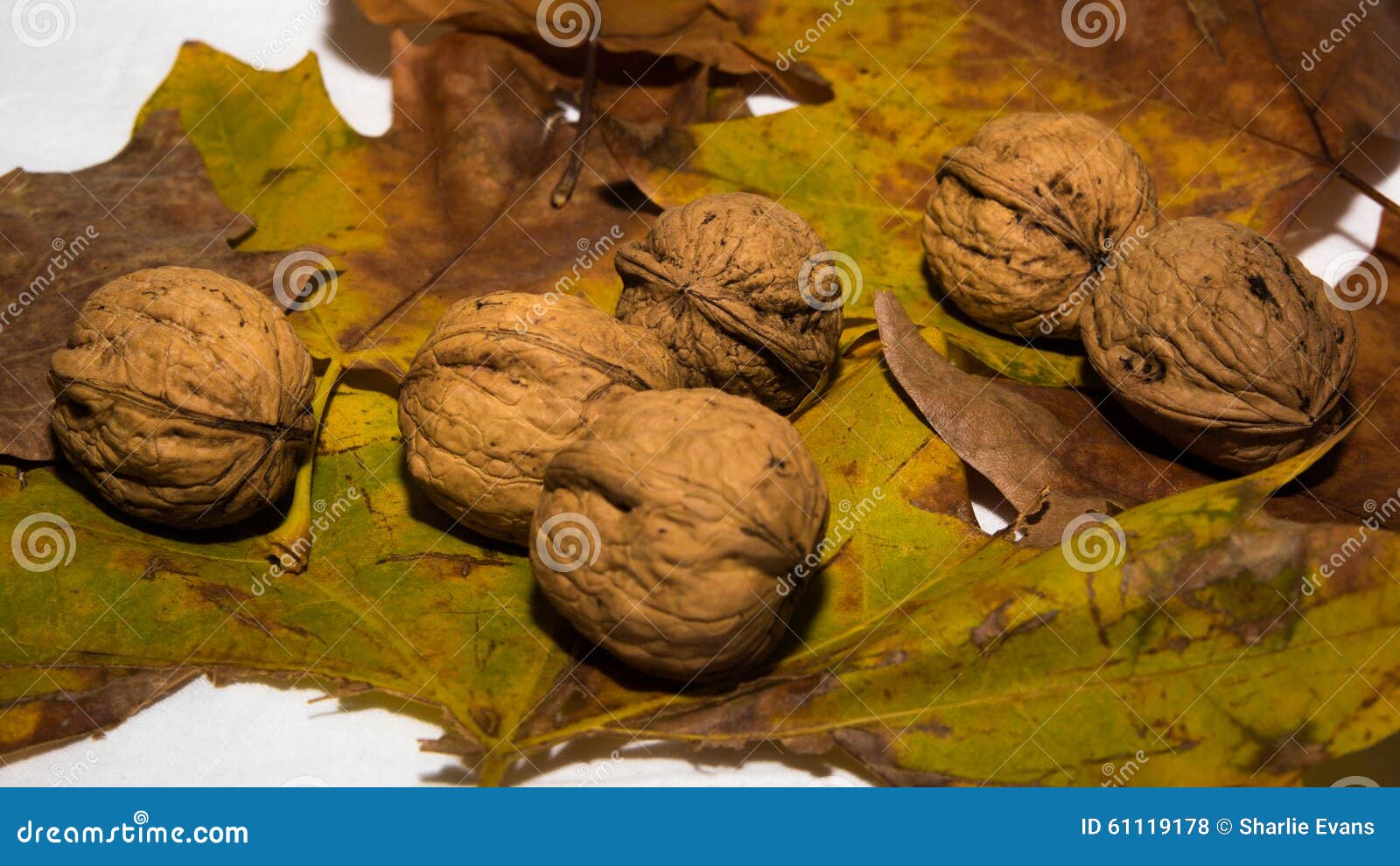 Oleaginous assortment stock photo. Image of natural, heart - 61119178