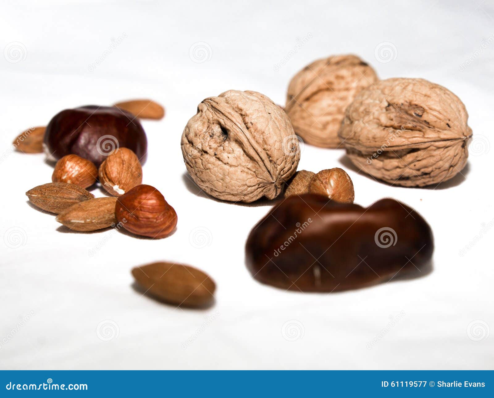 Oleaginous Stock Photos - Download 122 Royalty Free Photos