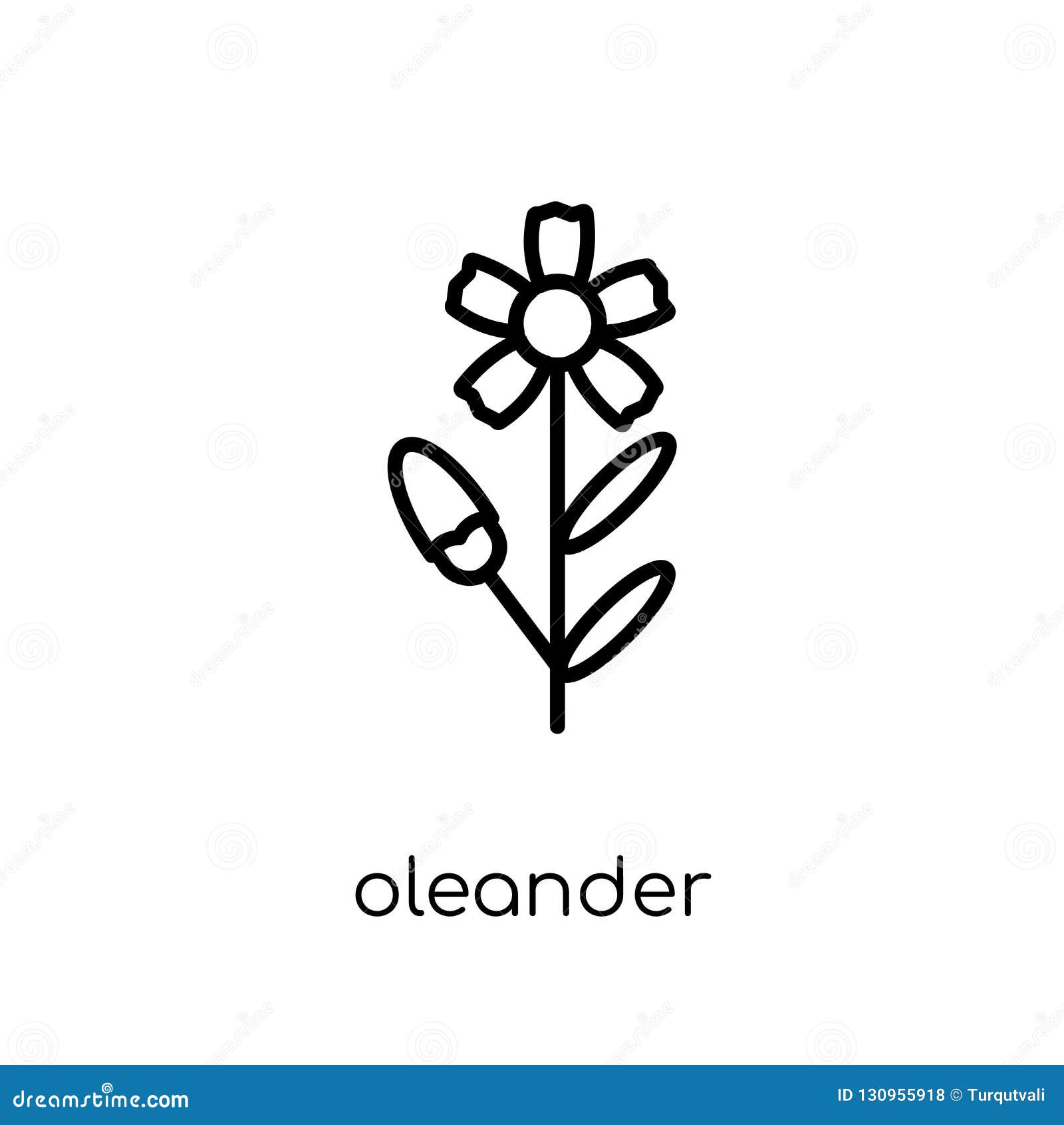 Oleander Icon. Trendy Modern Flat Linear Vector Oleander Icon on Stock ...