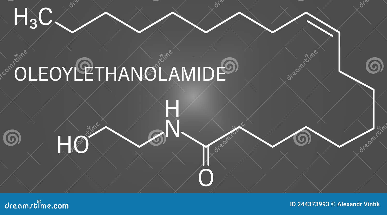 Oleoylethanolamide Molecule. Skeletal Formula. Stock Vector ...
