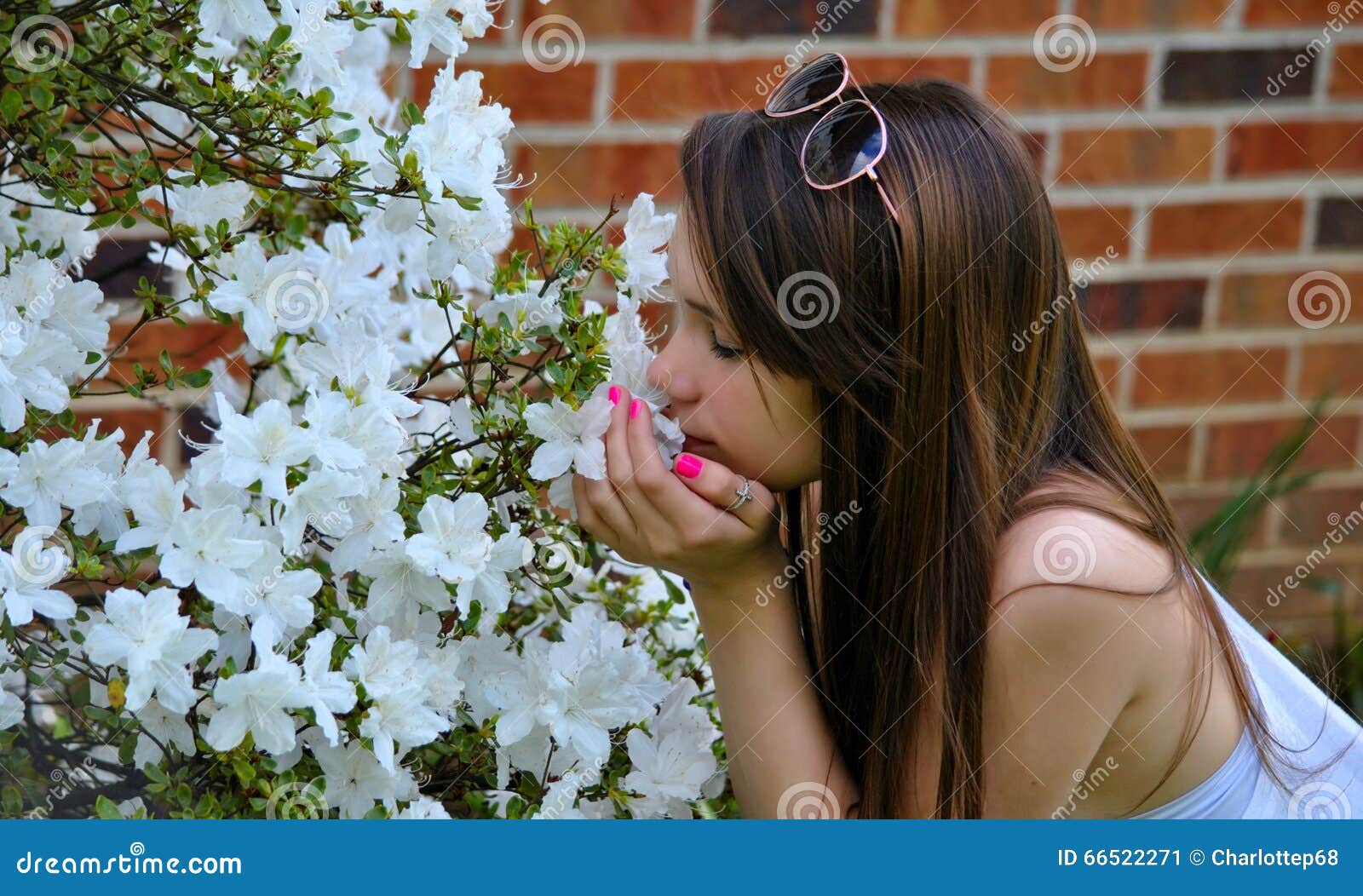Oler las flores imagen de archivo. Imagen de tazas, relaje - 66522271