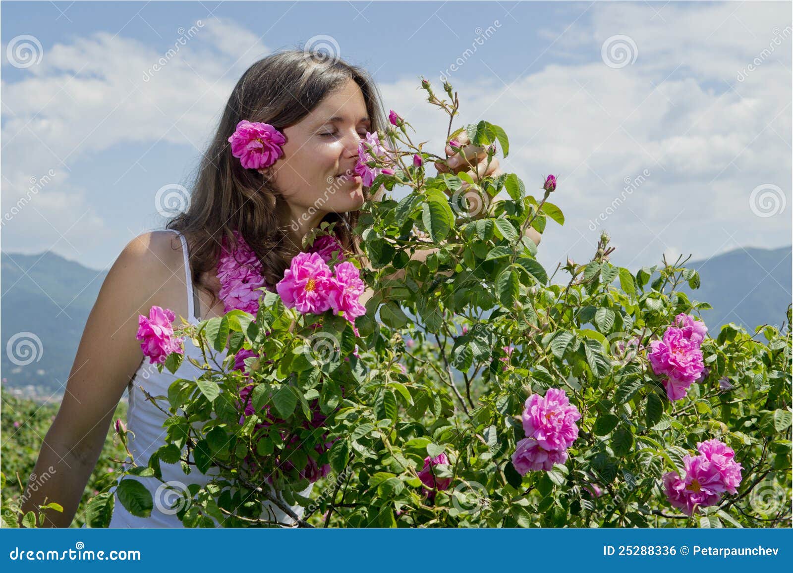 Oler una rosa foto de archivo. Imagen de morena, rosa - 25288336