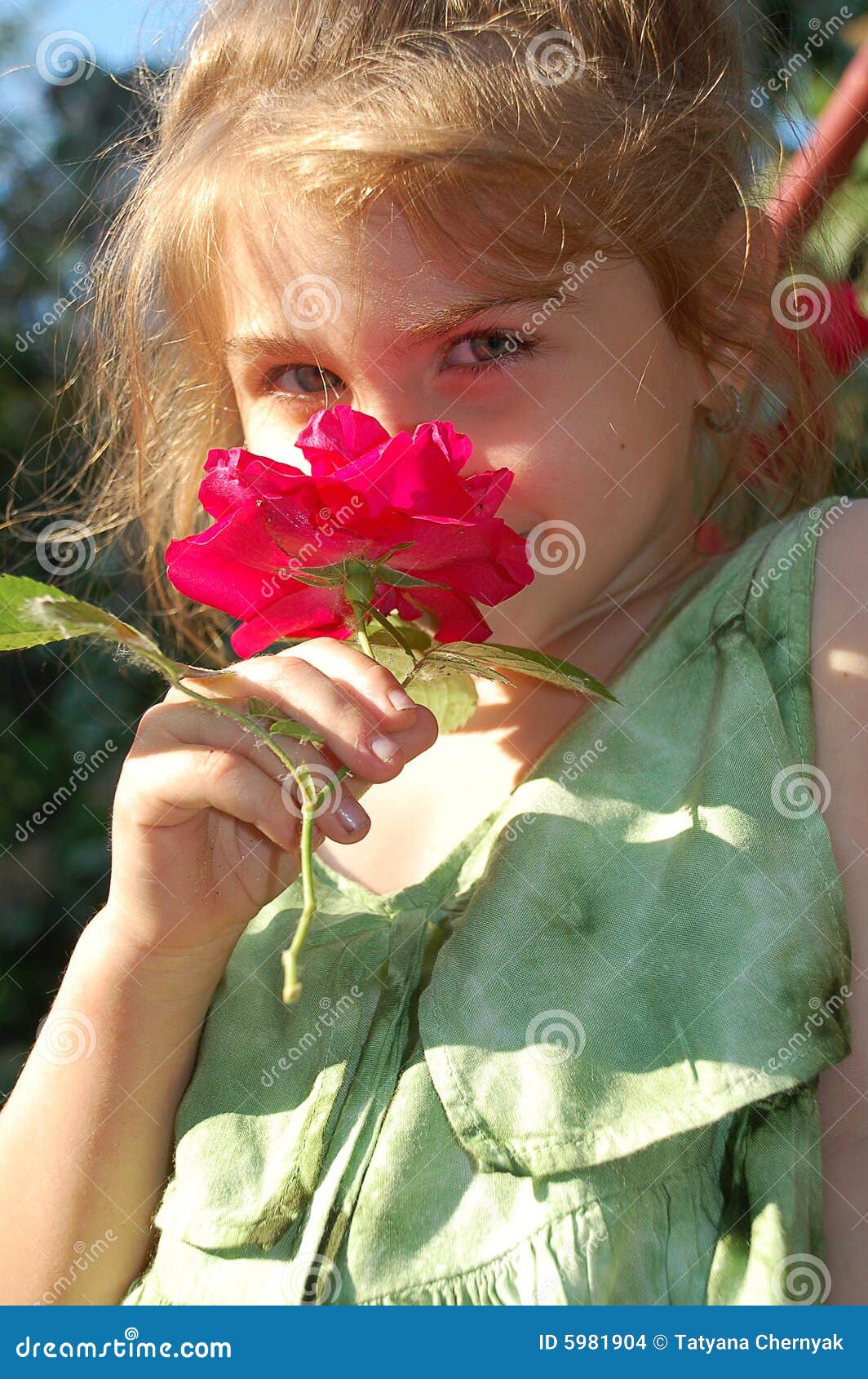 Oler una rosa foto de archivo. Imagen de pelo, rosas, olor - 5981904