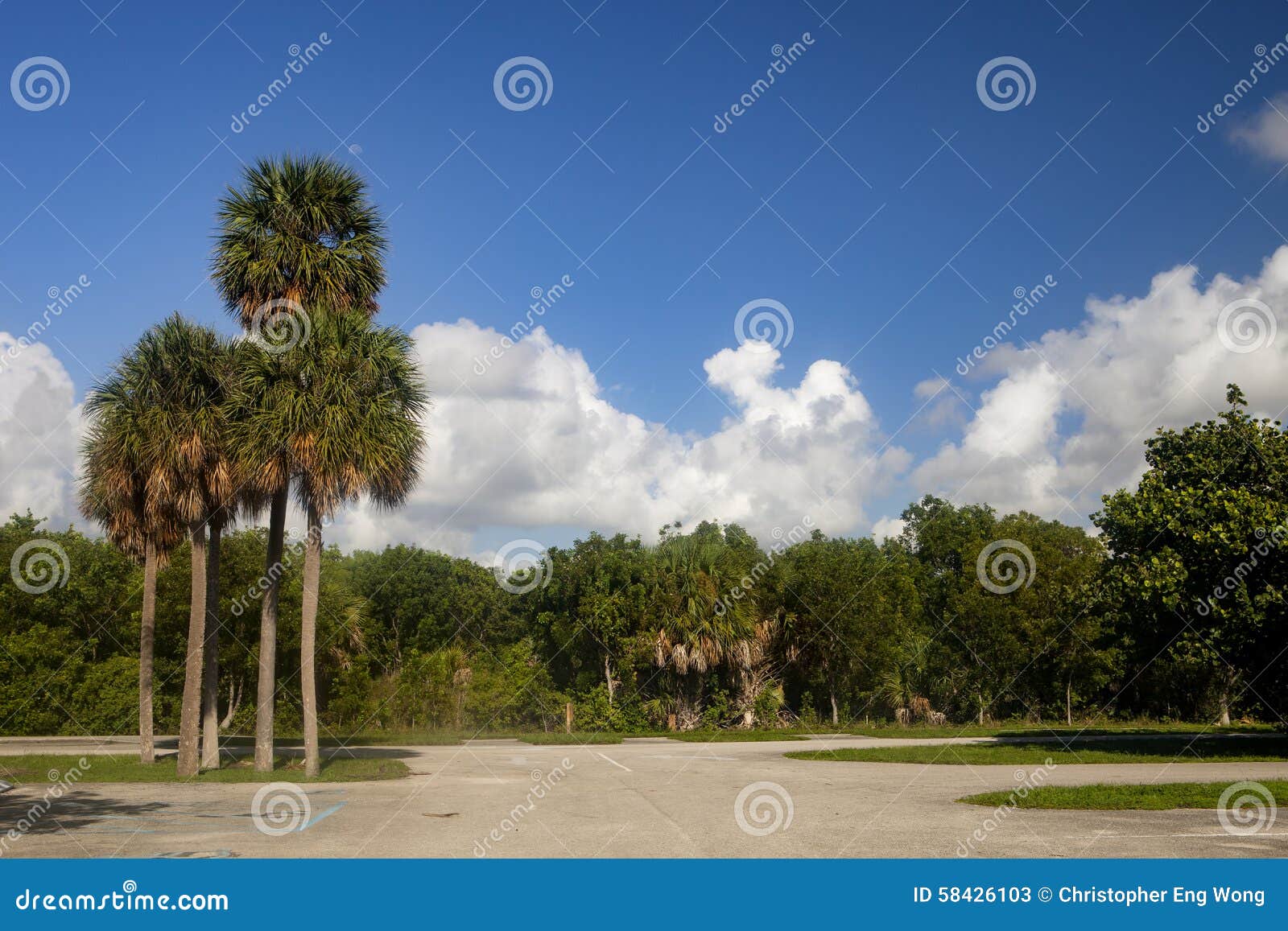 Oleta River State Park stock image. Image of landscape - 58426103