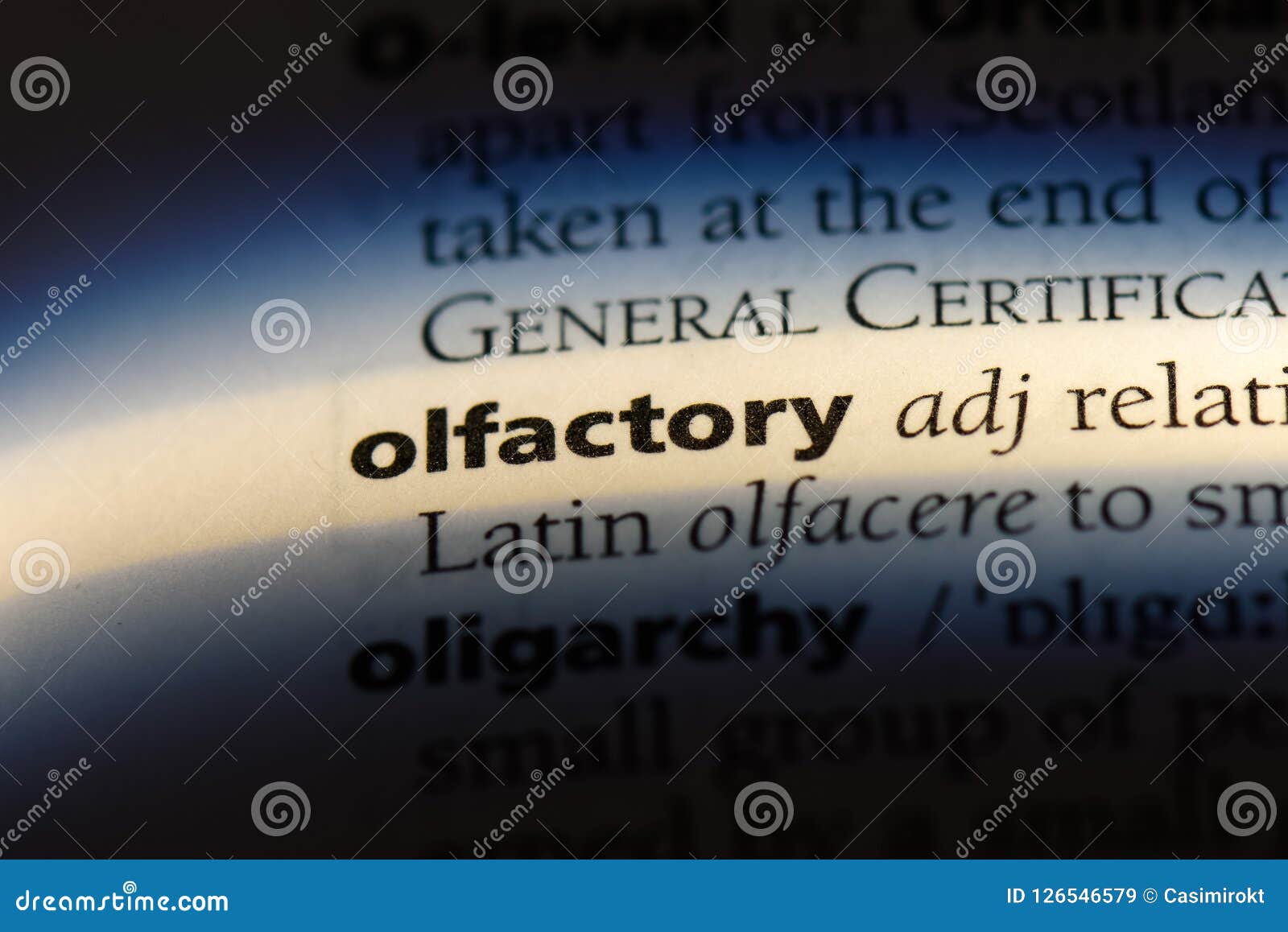 Olfactory stock image. Image of word, writing, definition - 126546579