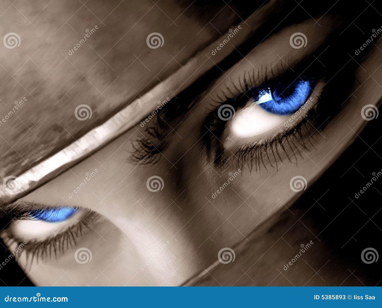 Olhar do gelo imagem de stock. Imagem de selvagem, sexo - 5385893