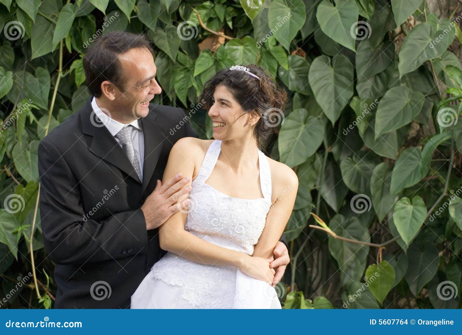 Olhar Fixo Dos Newlyweds - Horizontal Foto de Stock - Imagem de amor ...