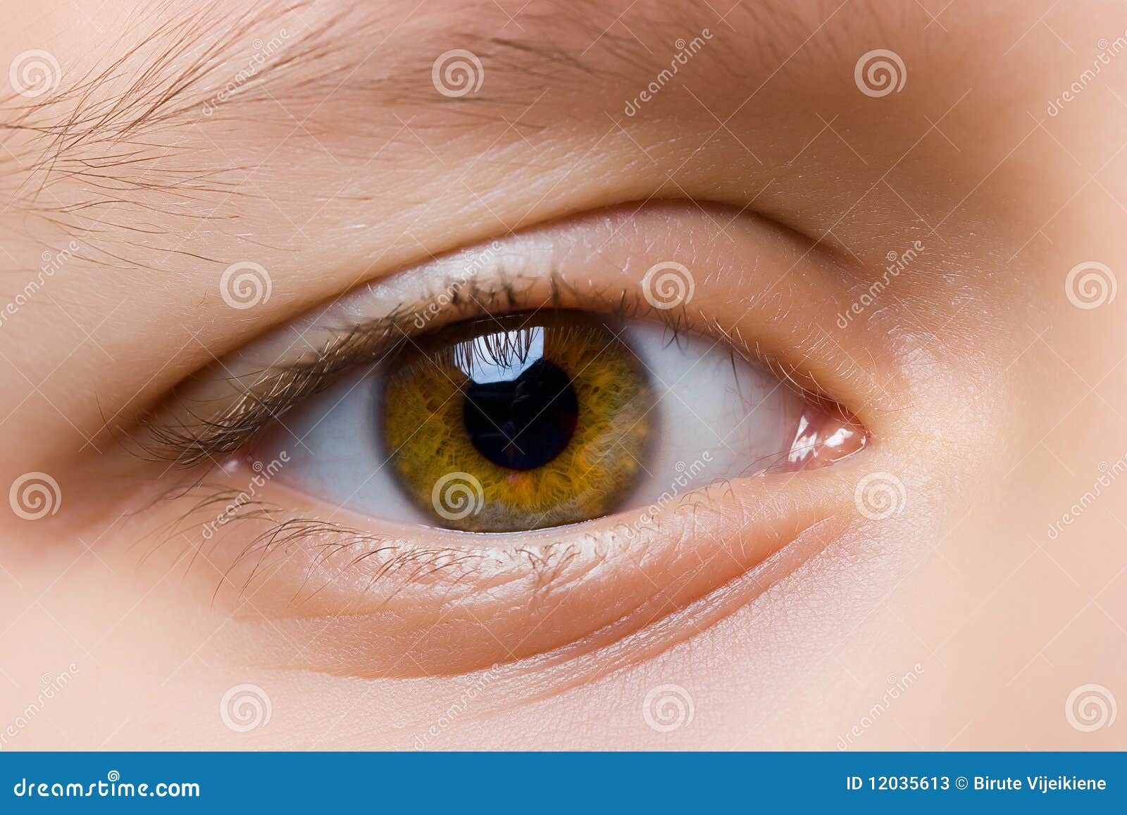 Olho imagem de stock. Imagem de macro, claridade, consideravelmente ...