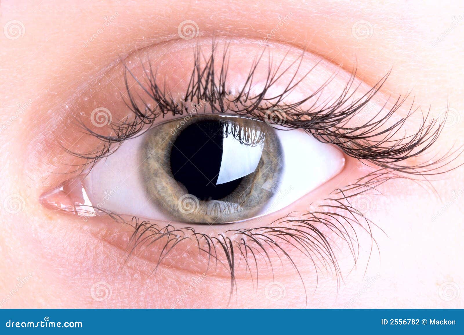 Olho foto de stock. Imagem de feminina, brilhante, beleza - 2556782