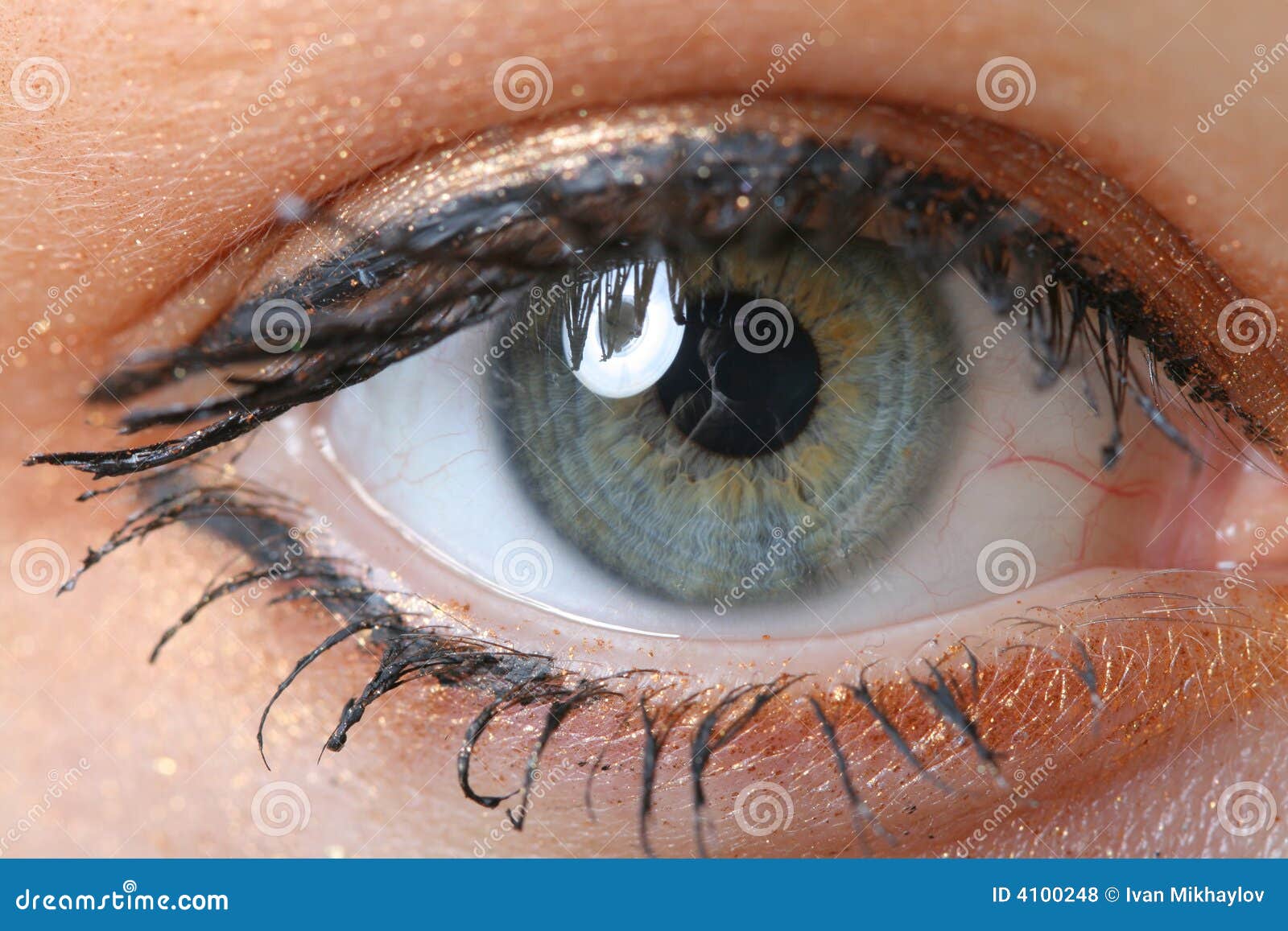 Olho foto de stock. Imagem de humano, aberto, inspecione - 4100248