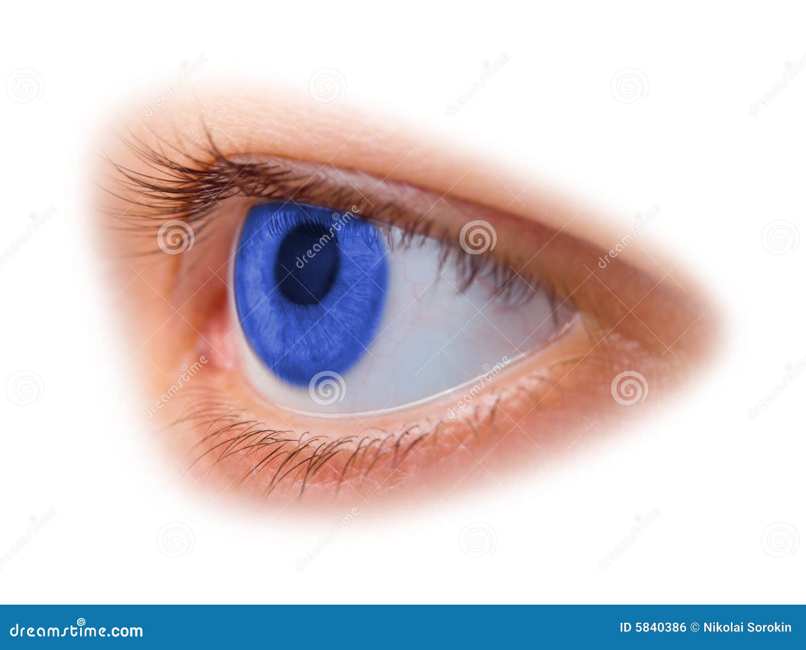 Olho azul da mulher foto de stock. Imagem de beleza, azul - 5840386