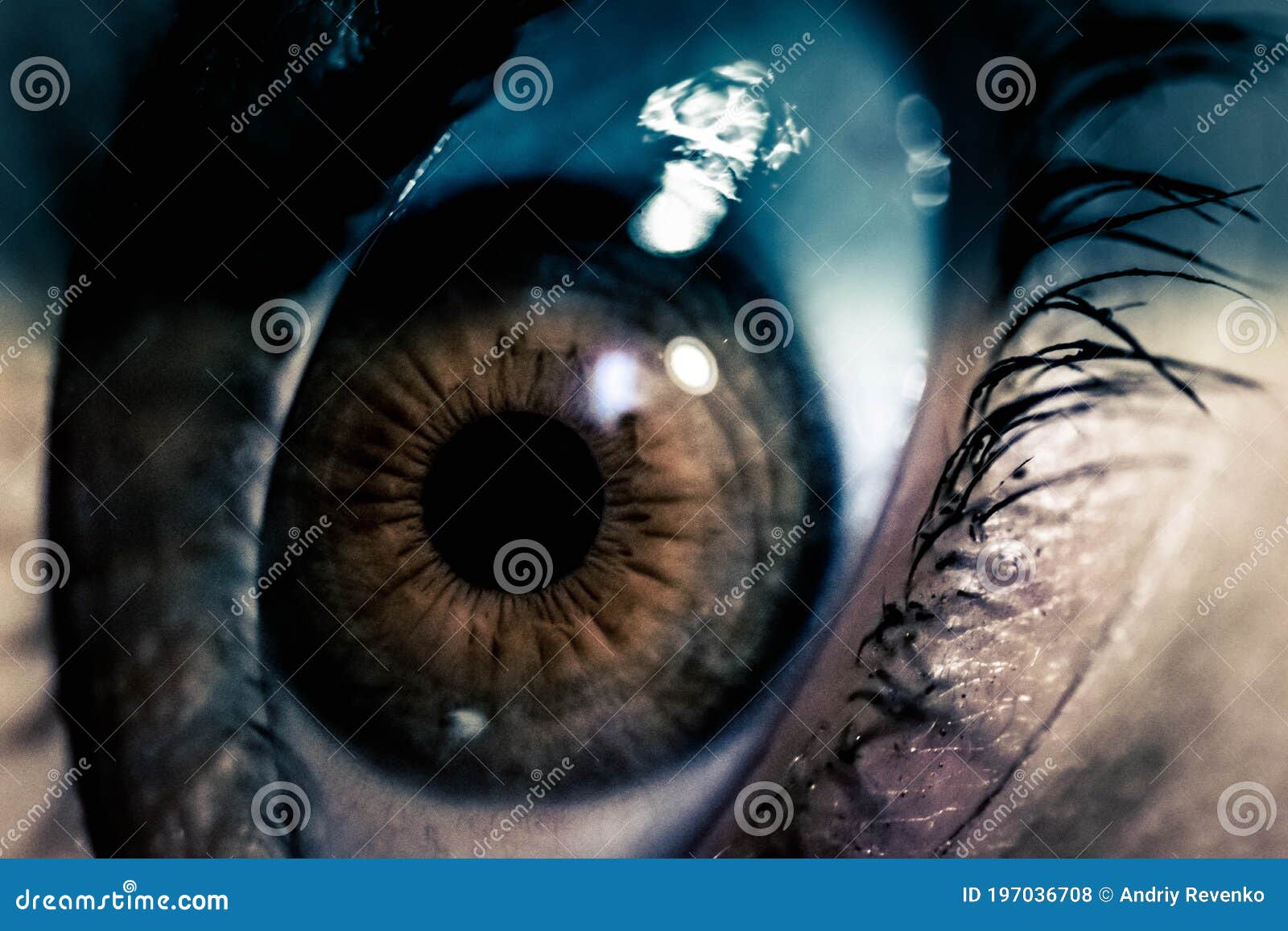 Olho E Aluno Me Observando. Foto de Stock - Imagem de eyeball, olhar ...