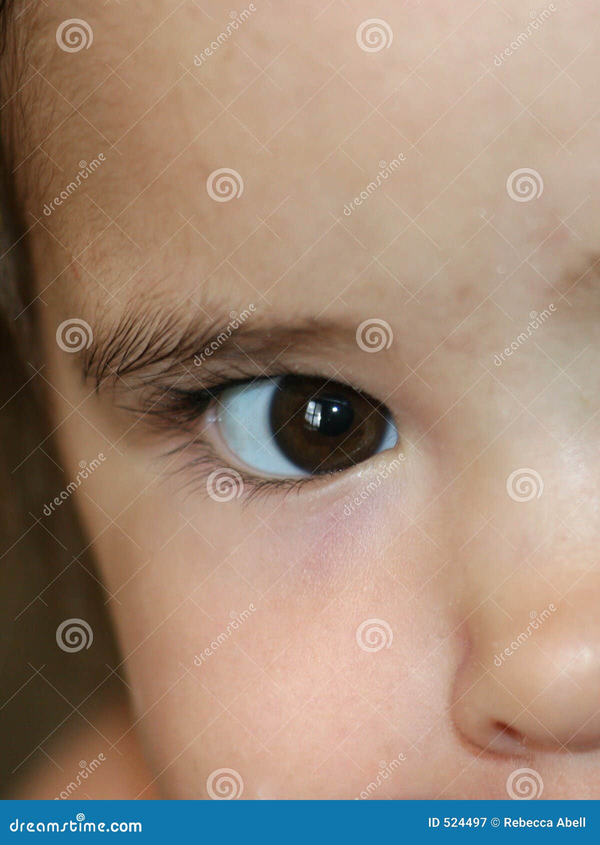 Olho grande de Brown imagem de stock. Imagem de branco - 524497