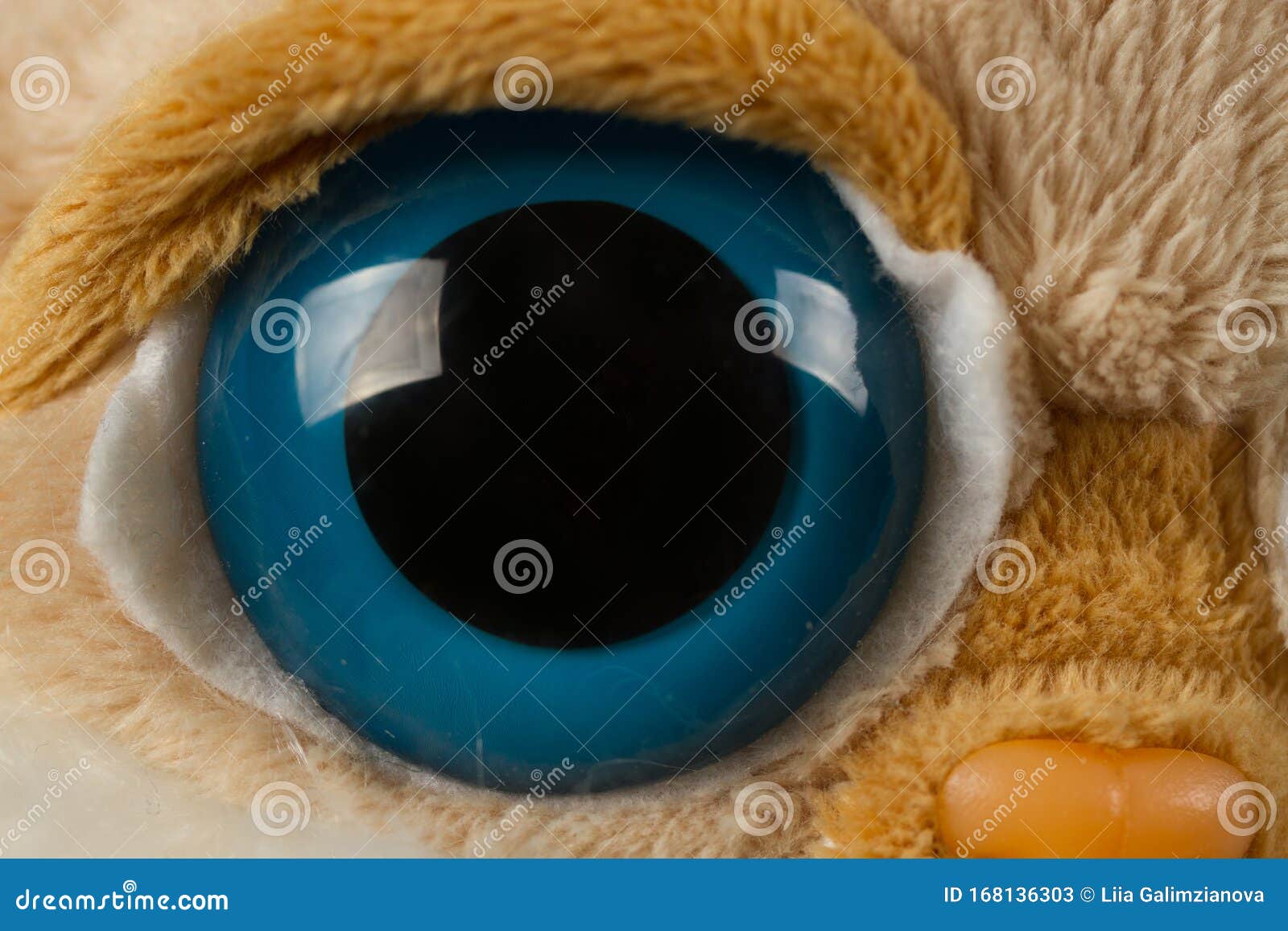 Olho Grande De Um Brinquedo Imagem de Stock - Imagem de terror ...