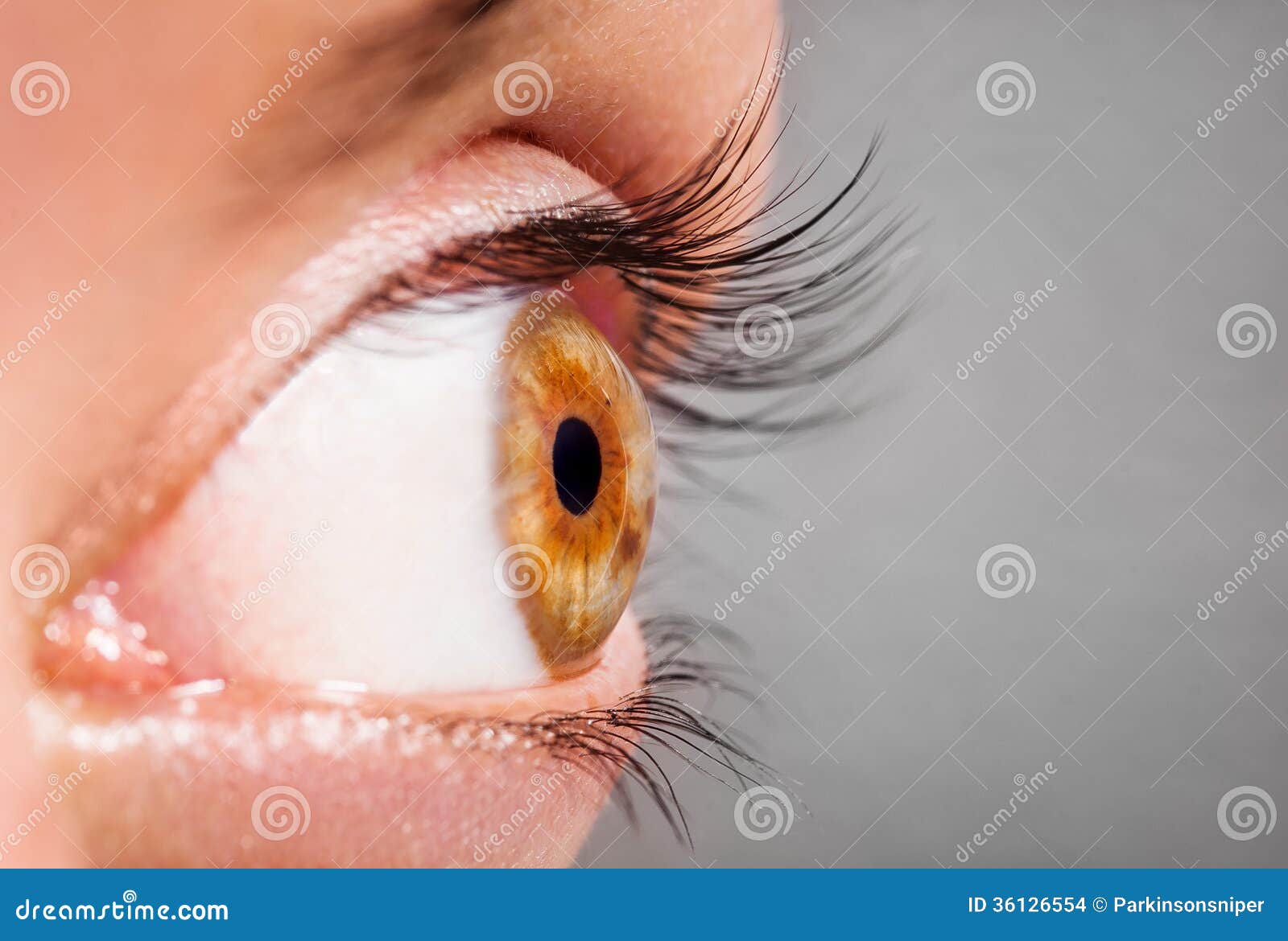 Olho humano foto de stock. Imagem de eyeball, humano - 36126554