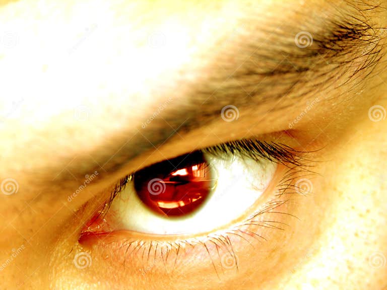 Olho irritado imagem de stock. Imagem de olho, limpar, furioso - 10207