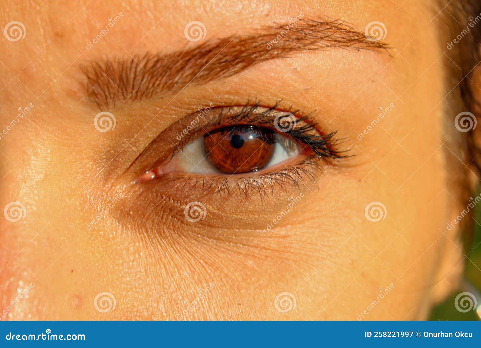 Olho marrom sob sol imagem de stock. Imagem de sobrancelha - 258221997