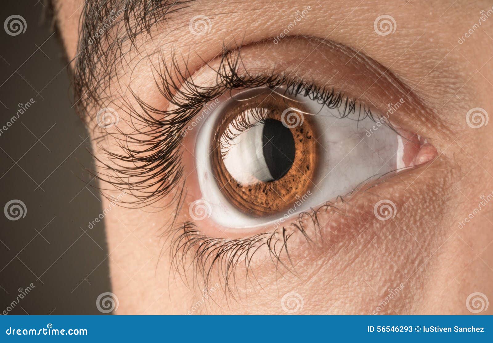 Olhos imagem de stock. Imagem de aberto, pestanas, macro - 56546293