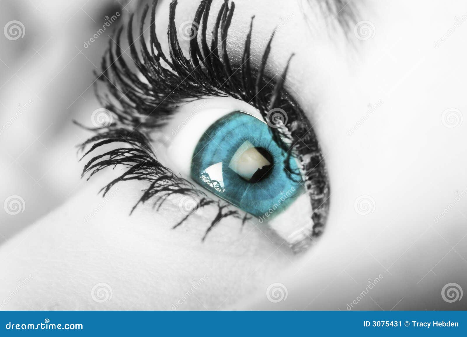 Olhos azuis imagem de stock. Imagem de azul, atraia, forro - 3075431
