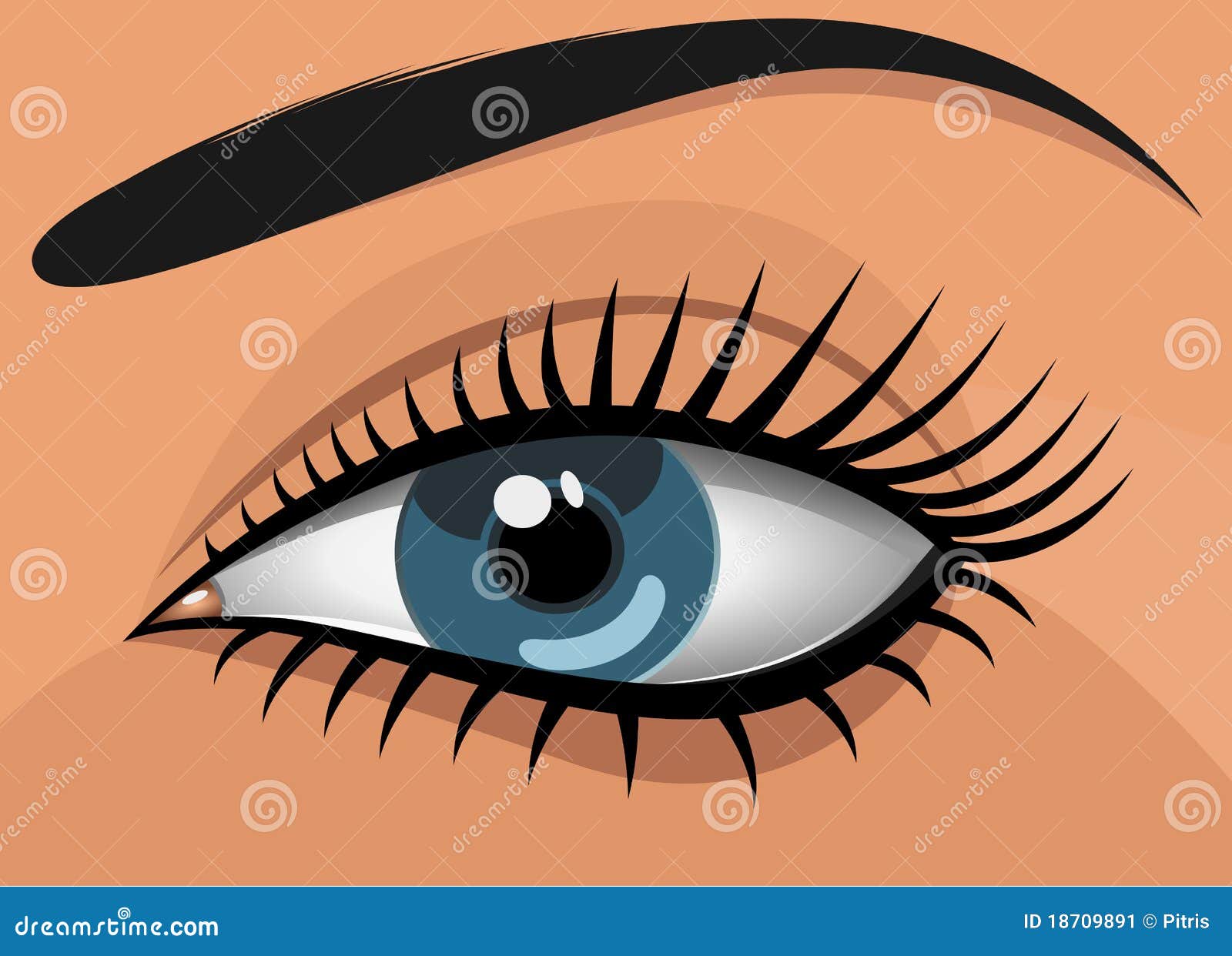 Olhos azuis da mulher ilustração do vetor. Ilustração de pestanas ...