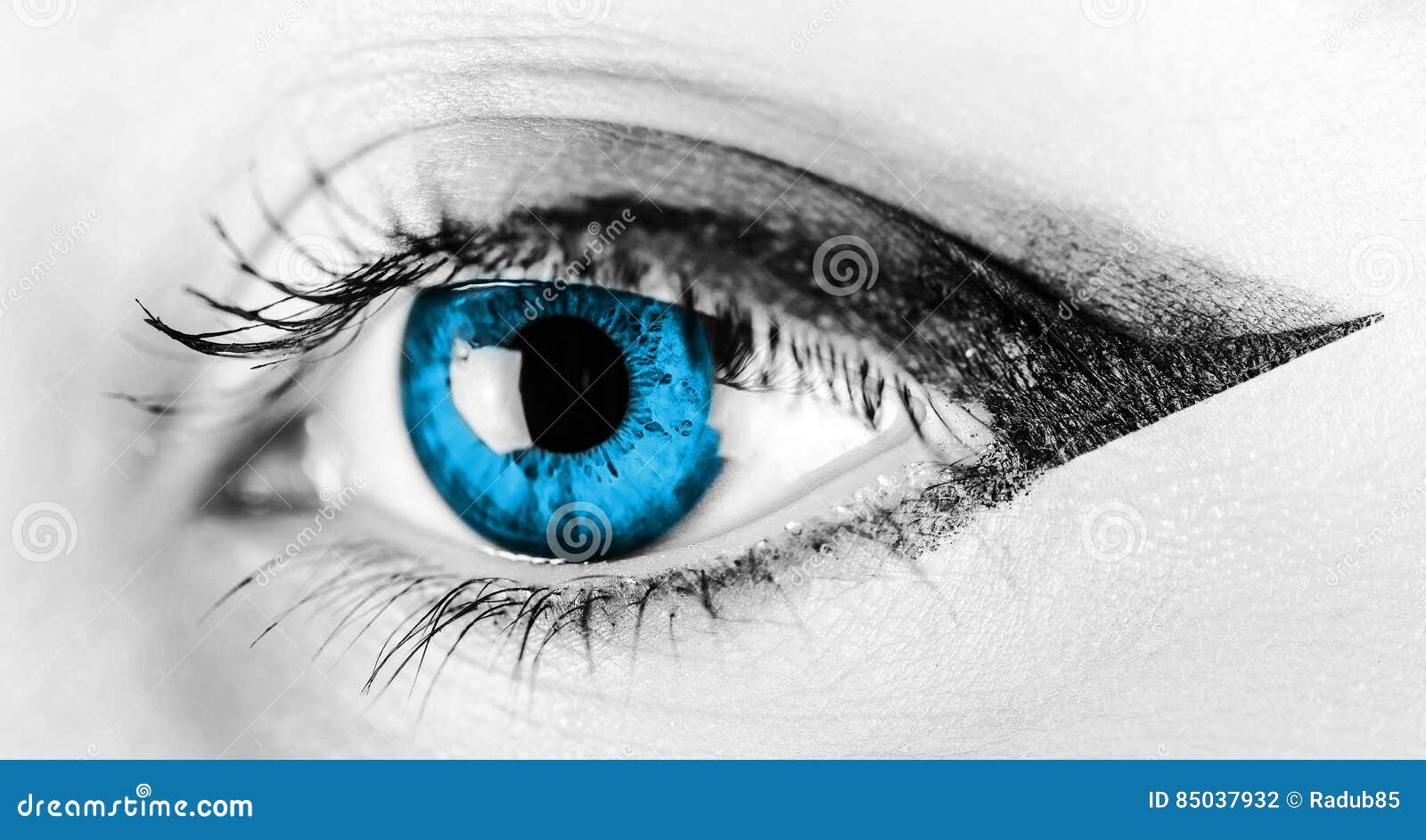 Olhos Azuis Preto E Branco Da Mulher Foto de Stock - Imagem de ...