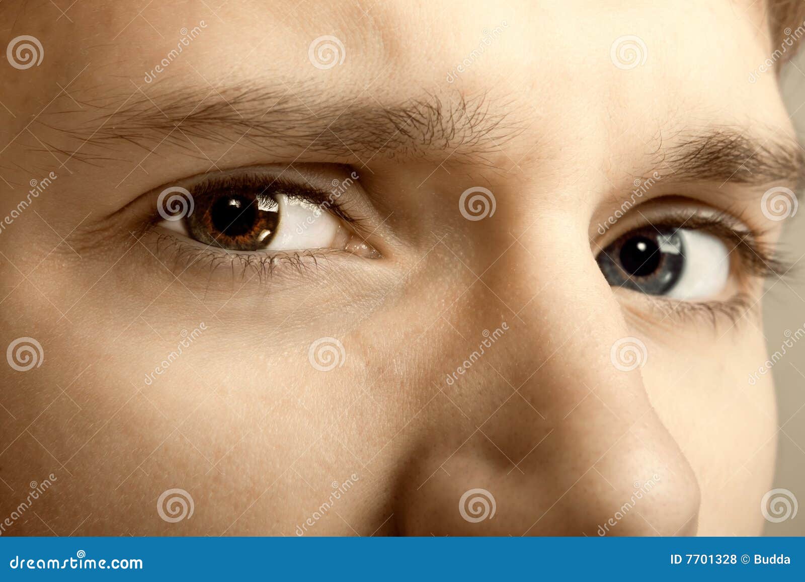Olhos do homem novo foto de stock. Imagem de diferente - 7701328