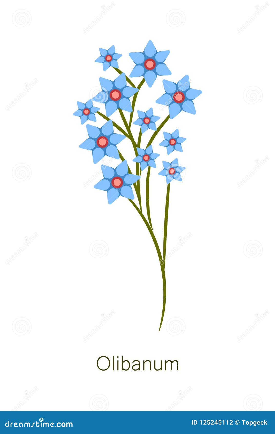 Oliban Herb Poster Title Vector Illustration Illustration de Vecteur ...