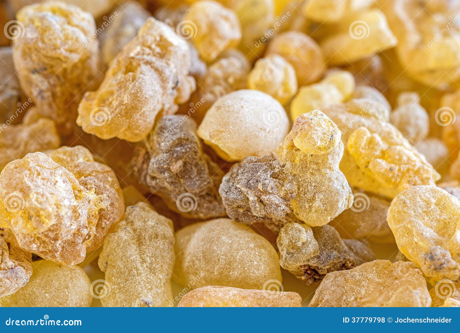 Oliban, Serrata De Boswellia Photo stock - Image du maladie ...