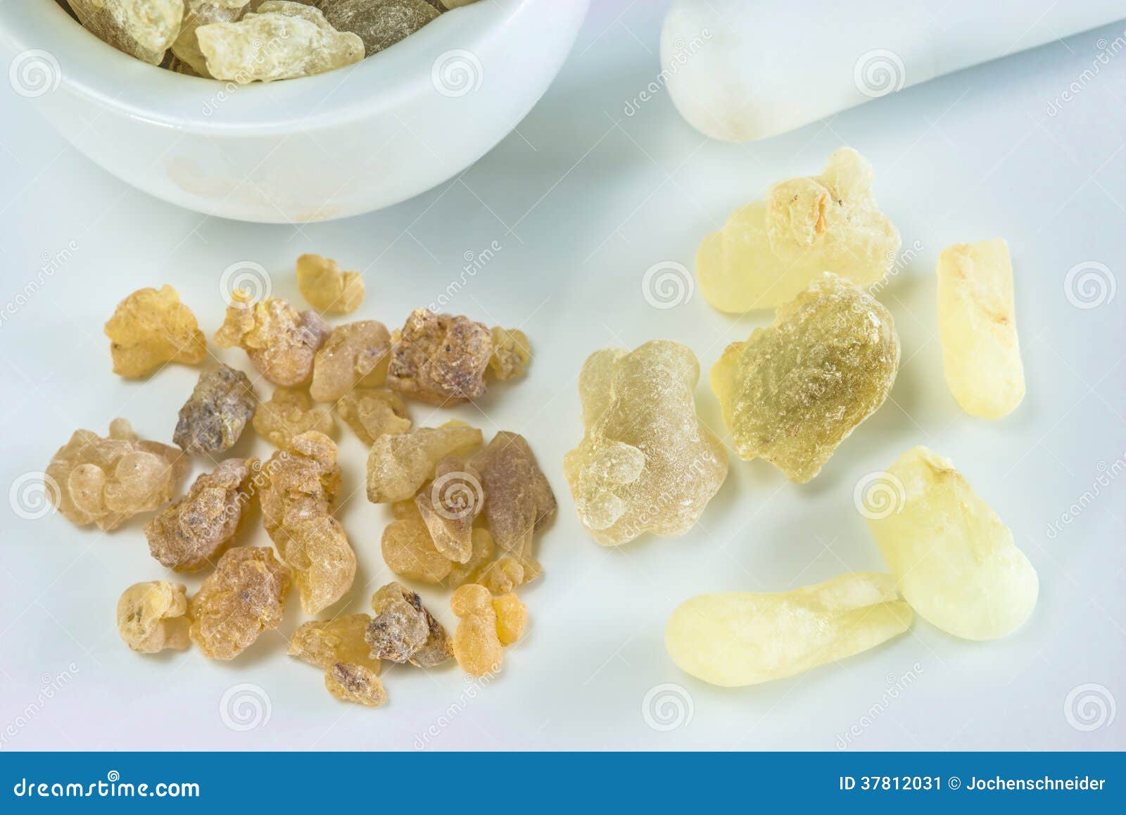 Olibanum, Boswellia Serrata Stock Image - Image of stuff, frankincense ...