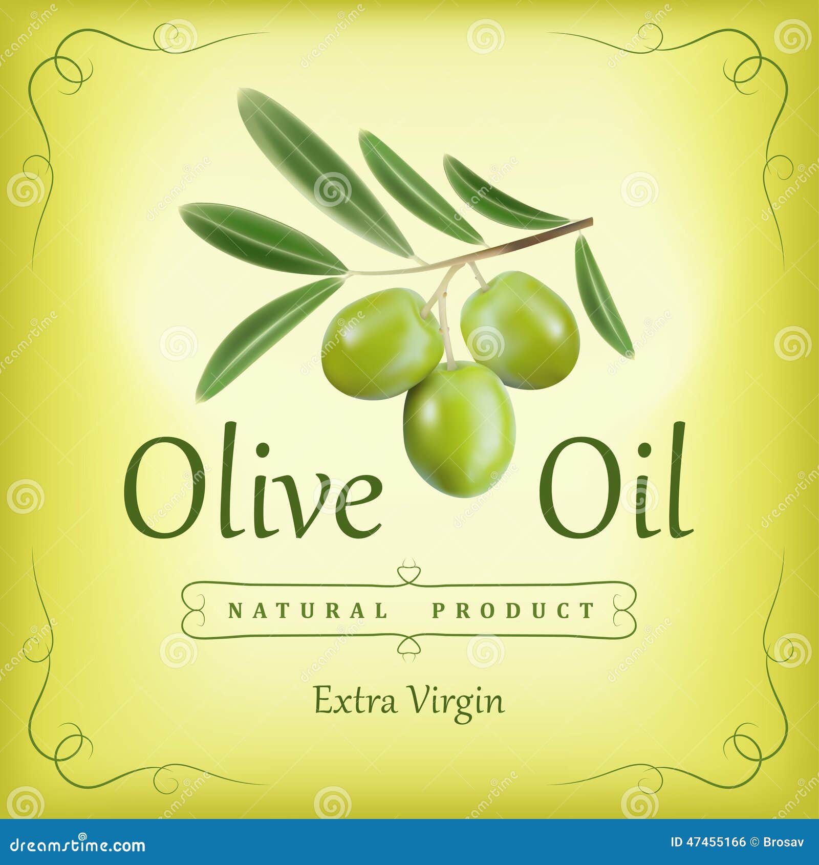 Olie De Vector Decoratieve Boom Van De Olijftak Voor Vector Illustratie ...